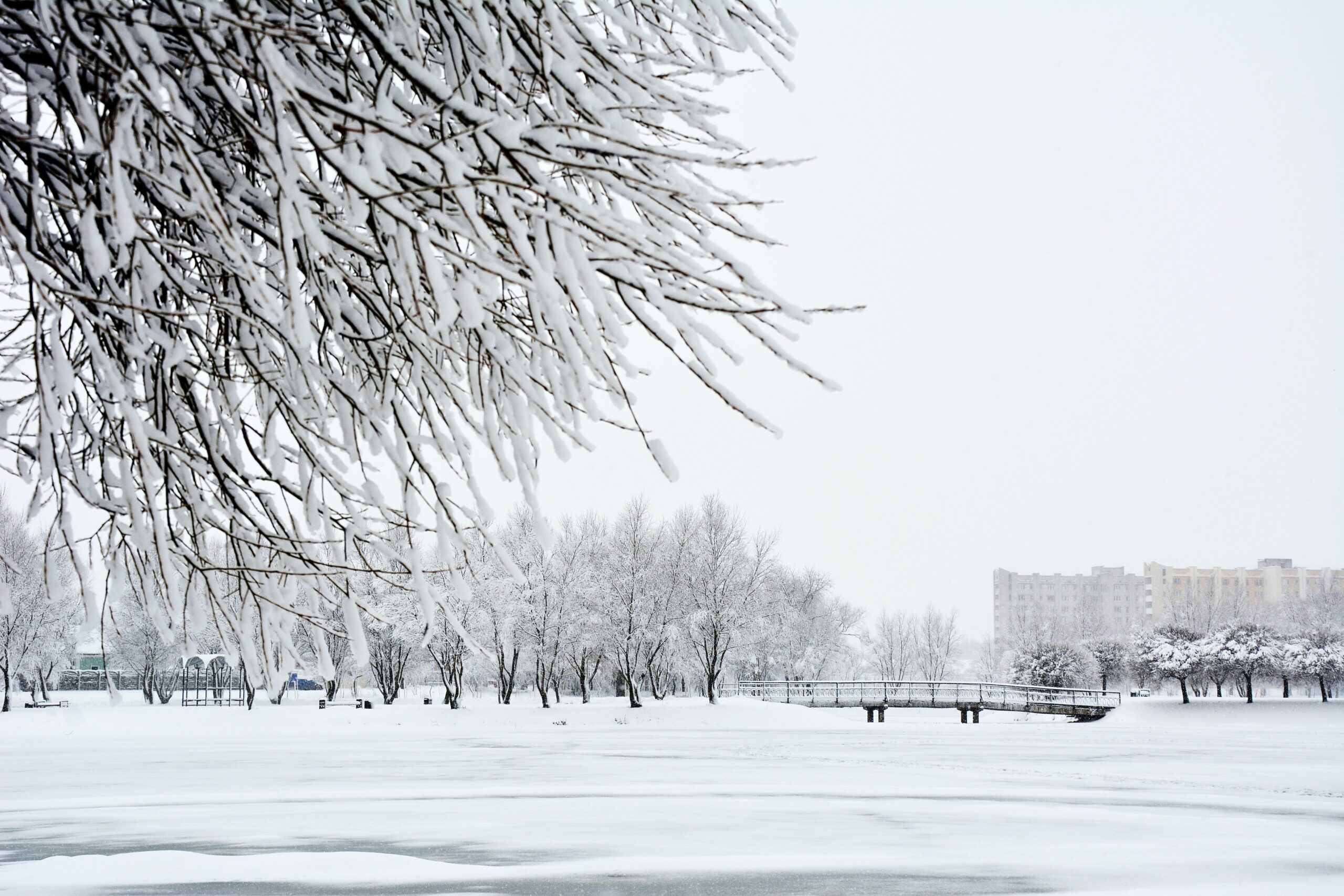 Embracing the Cold: Unveiling the Magic of Winters in Belarus - Eurasia ...